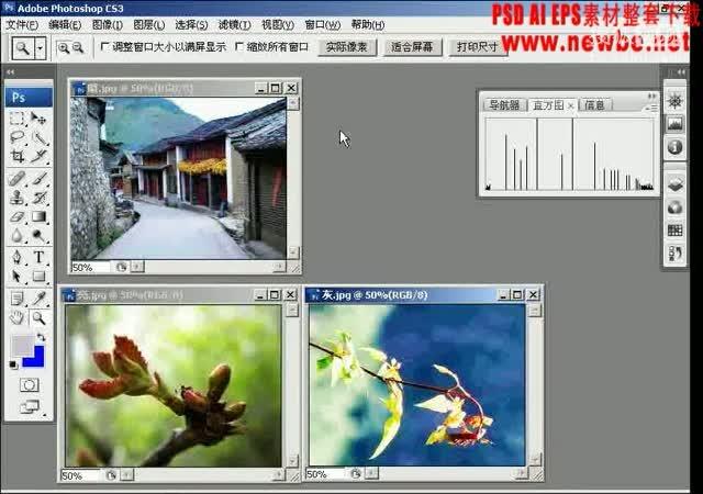 Photoshop.CS3专家讲堂系列教程 (89)