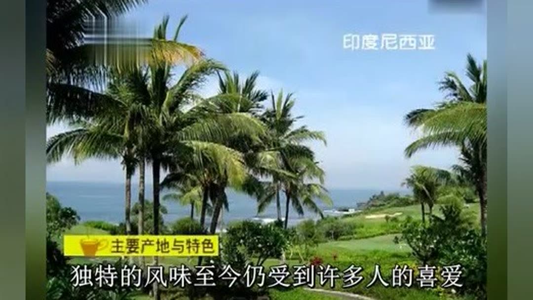 一分钟了解咖啡产地