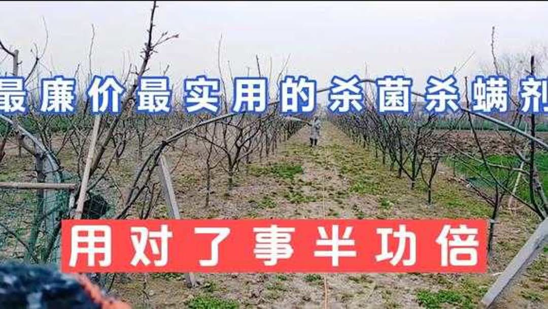 开园必用,最廉价最实用的杀虫杀螨剂,用对了事半功倍