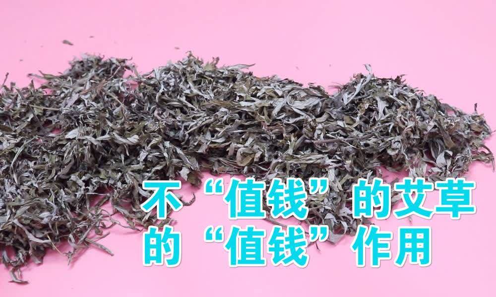 不"值钱"的艾草的"值钱"作用,看看长知识了