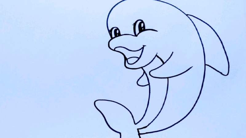 教你画可爱的海豚