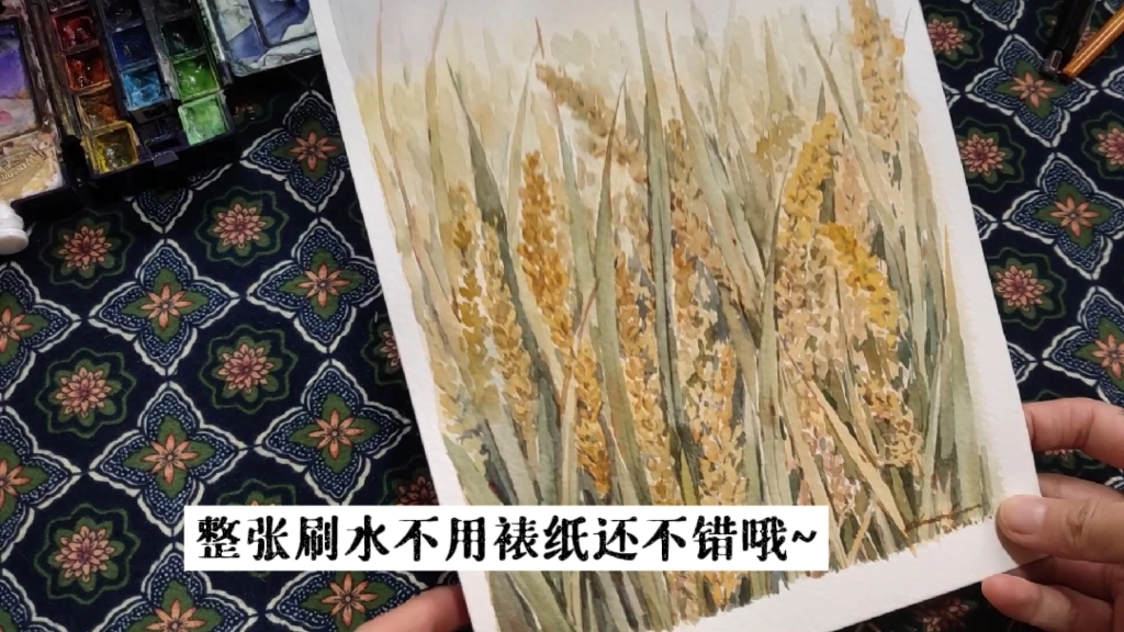 【水彩】画材开箱试用便宜好用水彩纸/水稻画法教程
