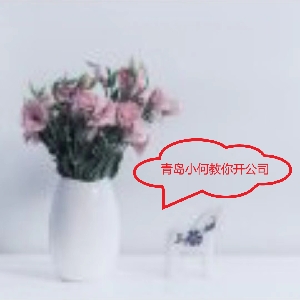 青岛小何教你开公司 