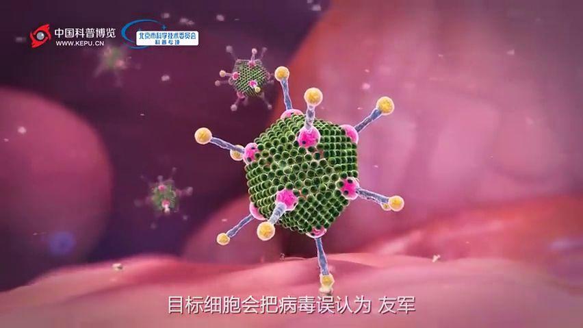 3分钟动画告诉你病毒是如何入侵人体的?