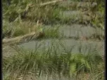 富硒村宣传片