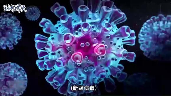 为60个国家和组织介绍中国治疗方案,一场特殊会议尽显大国风范!