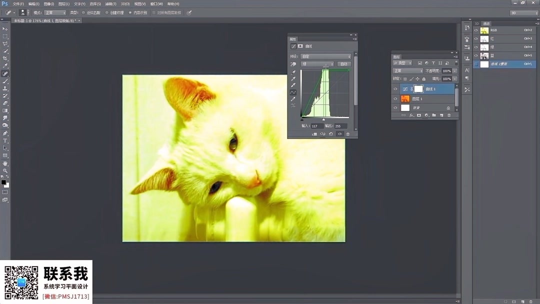 PS给动物图片调色