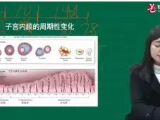执业医师课程2018贺银成/执业药师教学视频/更新快清晰度高资料全...
