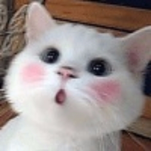 财运人生事事如意 