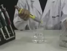 生物选修一实验视频:土壤中分解尿素的细菌的分离和计数