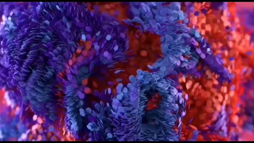 没有人教你拍动态的,这里5秒教会你,你学会了吗?!#手机摄影