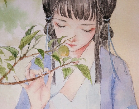 桐宇molipin 