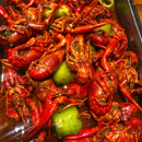 爱奇艺用户_2488432826 