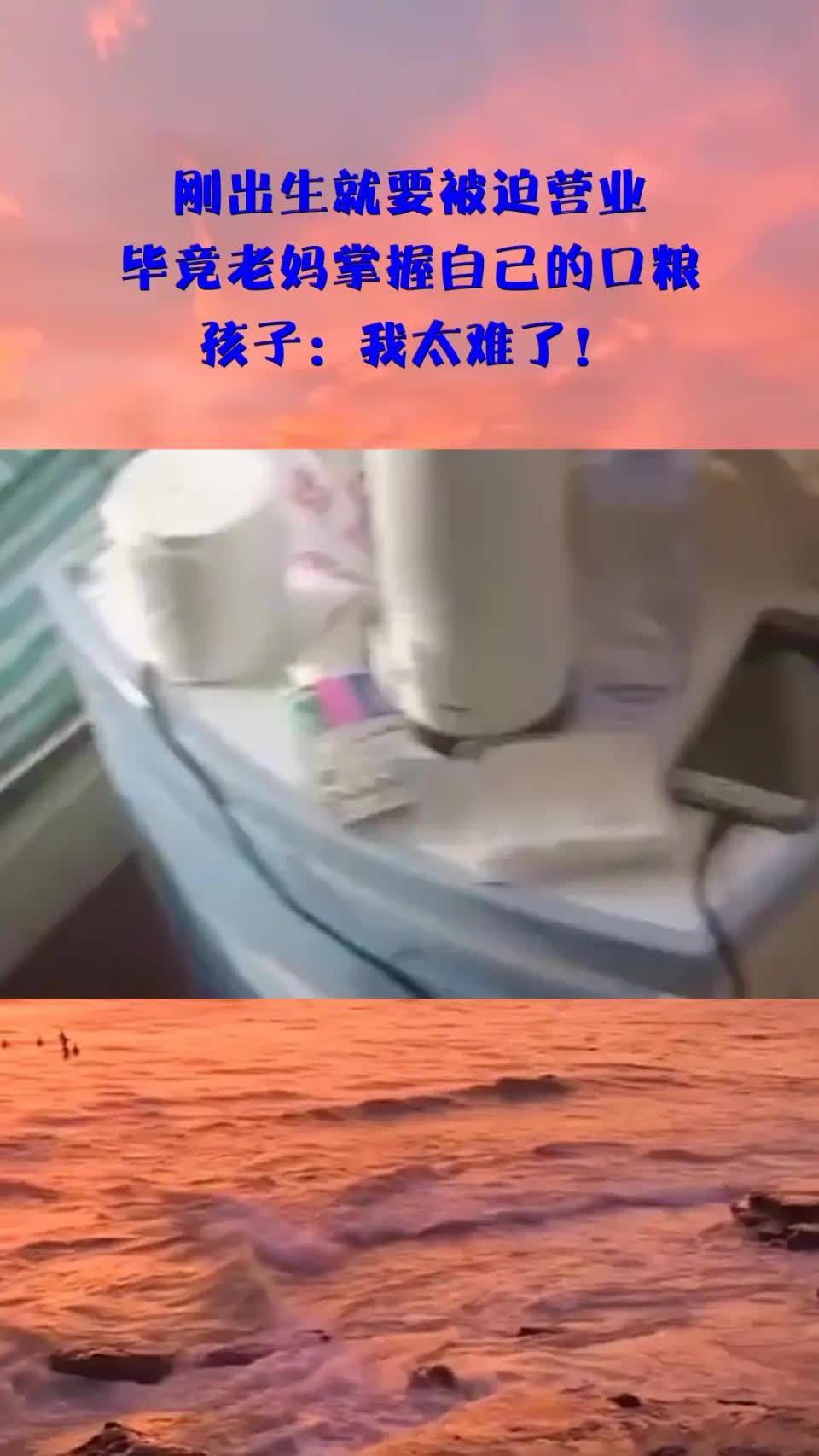 刚出生就要被迫营业,毕竟老妈掌握自己的口粮,孩子:我太难了!