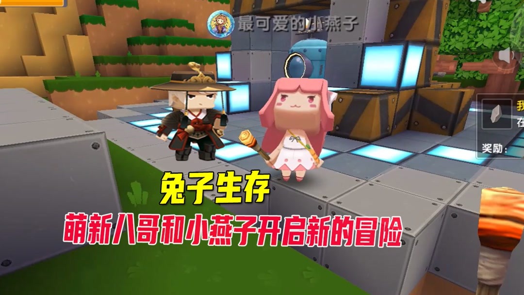 迷你世界兔子生存1:萌新八哥和燕子开启新的冒险,梦想住大别墅