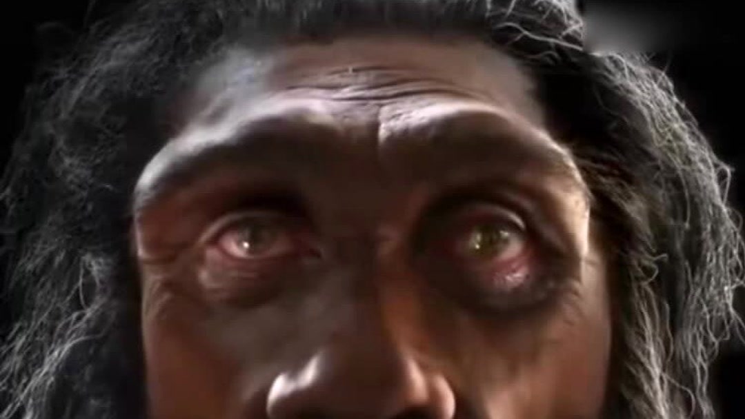 人类六百万年来的演化过程