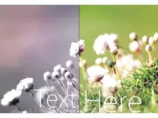 优雅的幻灯片放映动画完美设计风AE相册模板可代做可远程教学