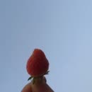 来一包辣条吗！ 