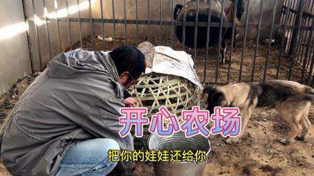 现实版的开心农场,常会有小精灵诞生。你觉得快乐吗?