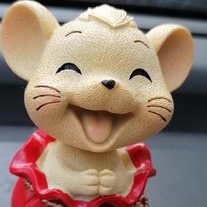 君迁子叶 