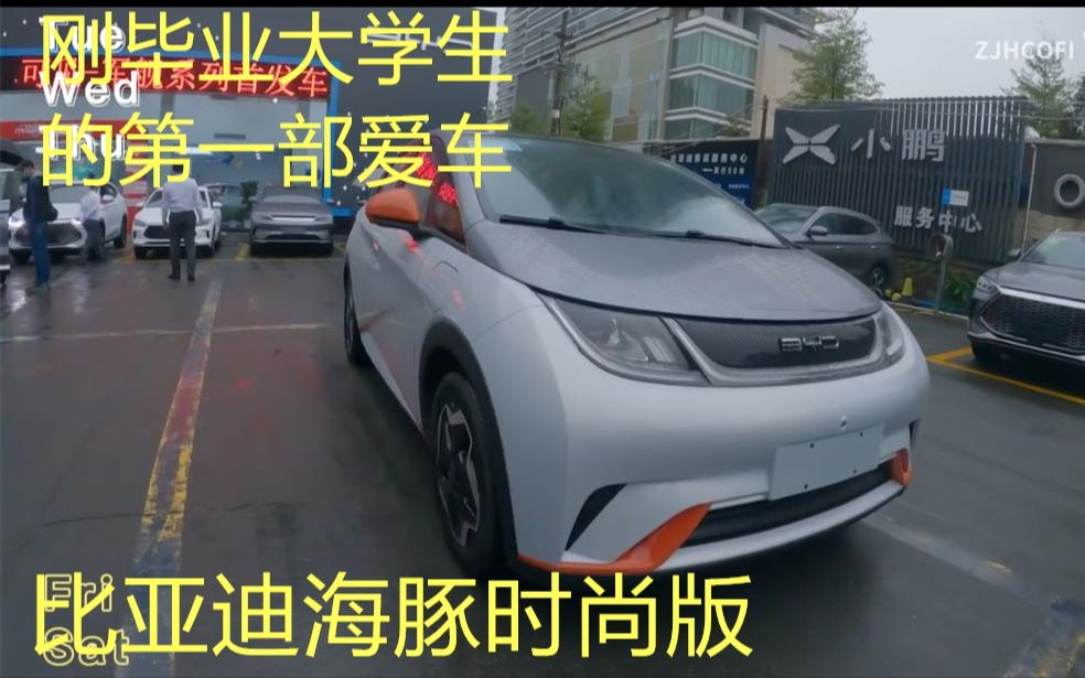 比亚迪海豚时尚版-人生的第一部爱车