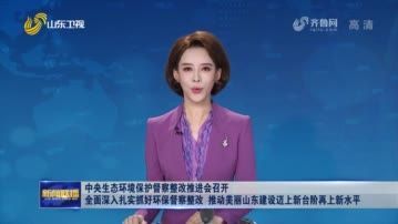 中央生态环境保护督察整改推进会召开