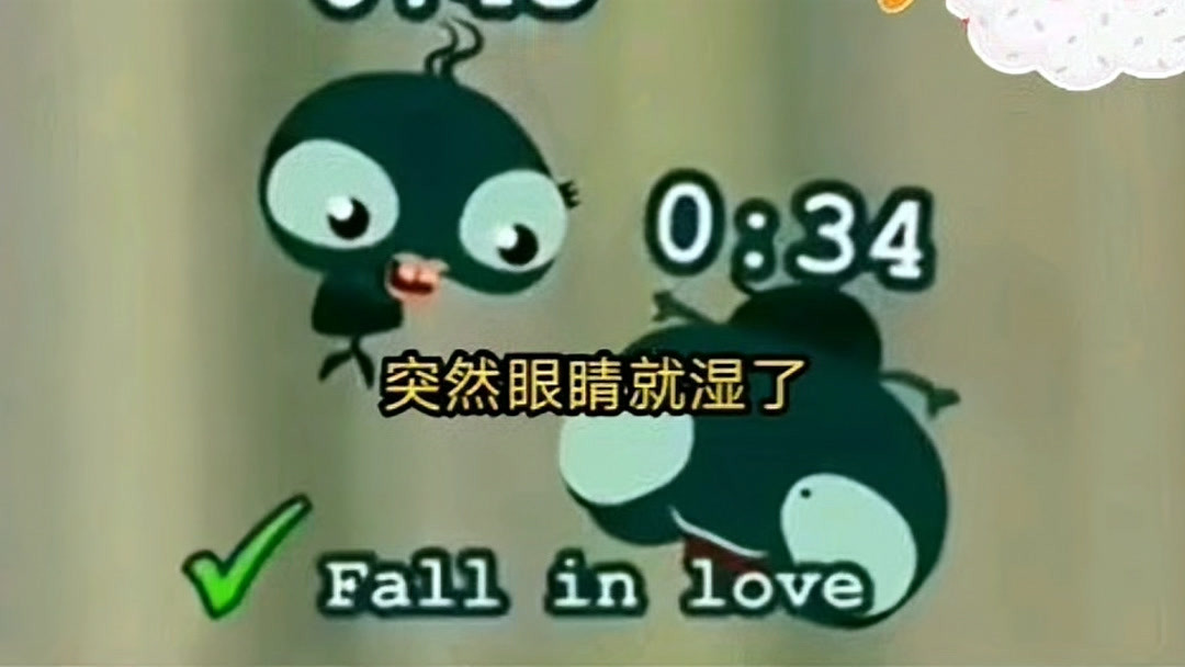 苍蝇生命的一分钟,人类的缩写版,忙忙碌碌直至死亡,可悲可叹