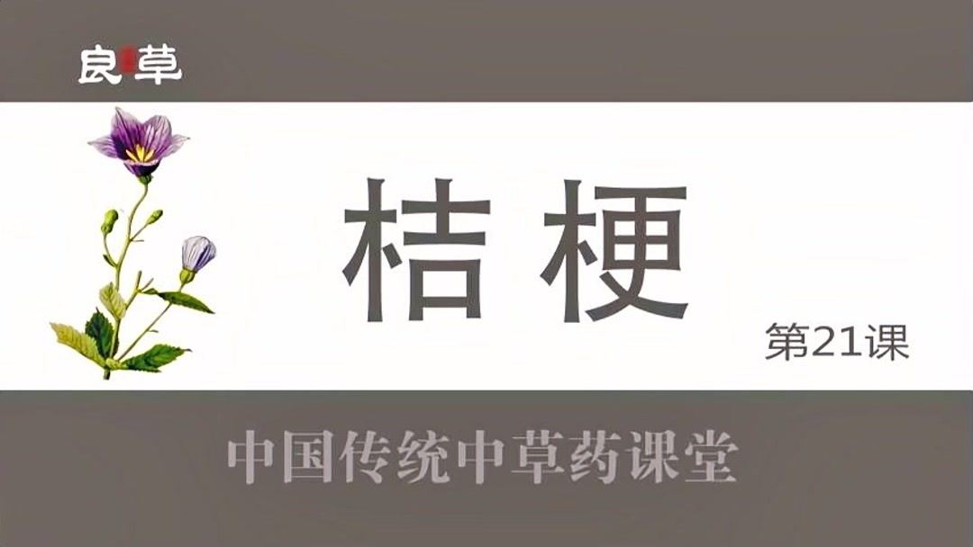 桔梗的作用与功效
