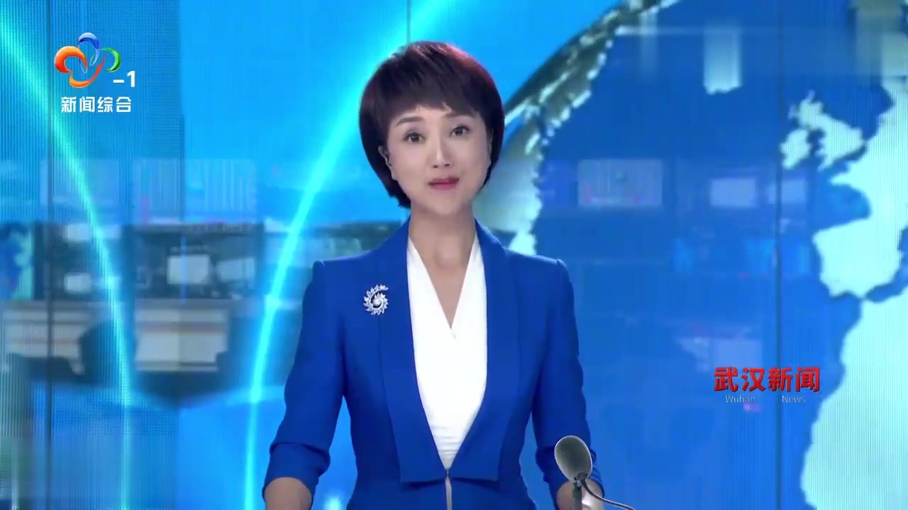 凝聚海峡两岸"最大公约数"专家学者在汉共话中华文化传承发展