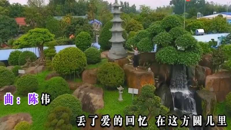 何鹏一首《爱你恨你却想你》,动感的节奏,美妙的旋律,好听至极
