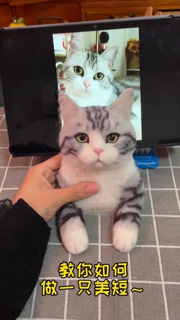 教你如何做一只羊毛毡猫咪