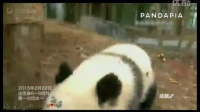 2015-8-22—12:50-12:54 成就星语