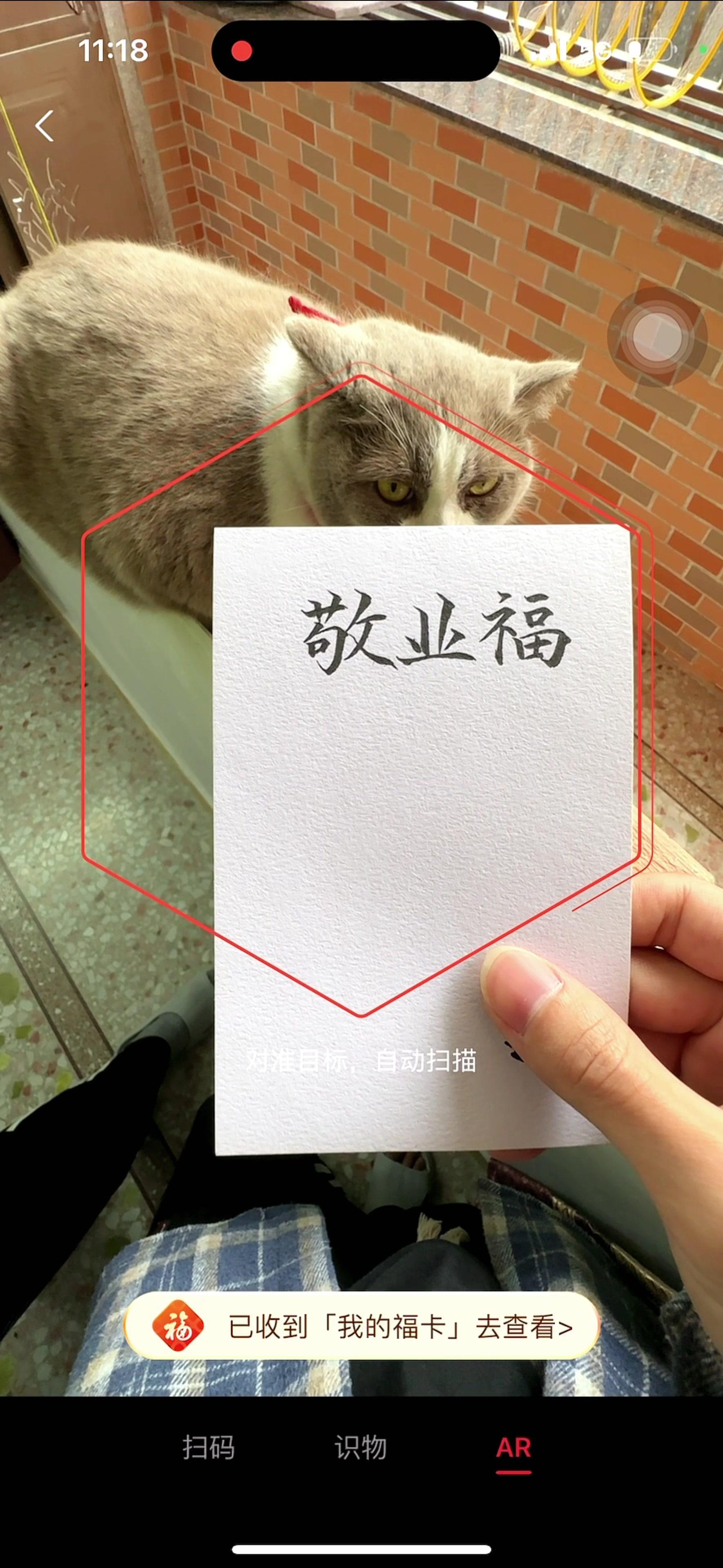 怎么扫都扫不到敬业福,那就自己写一个敬业福还真有了