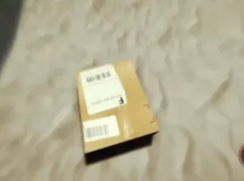 迷失森林02:用燃烧瓶教训大海龟,教你做龟!
