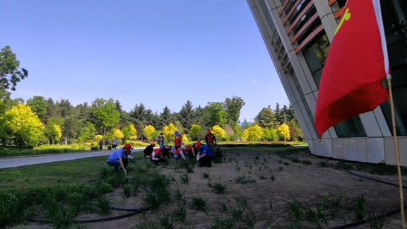 惠泽党支部“党史力行 美化家园做贡献”主题党日