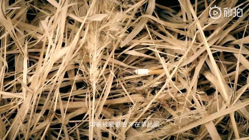 据统计,90%以上的森林火灾是人为因素引起,烟头虽小,火患无穷,随手乱...