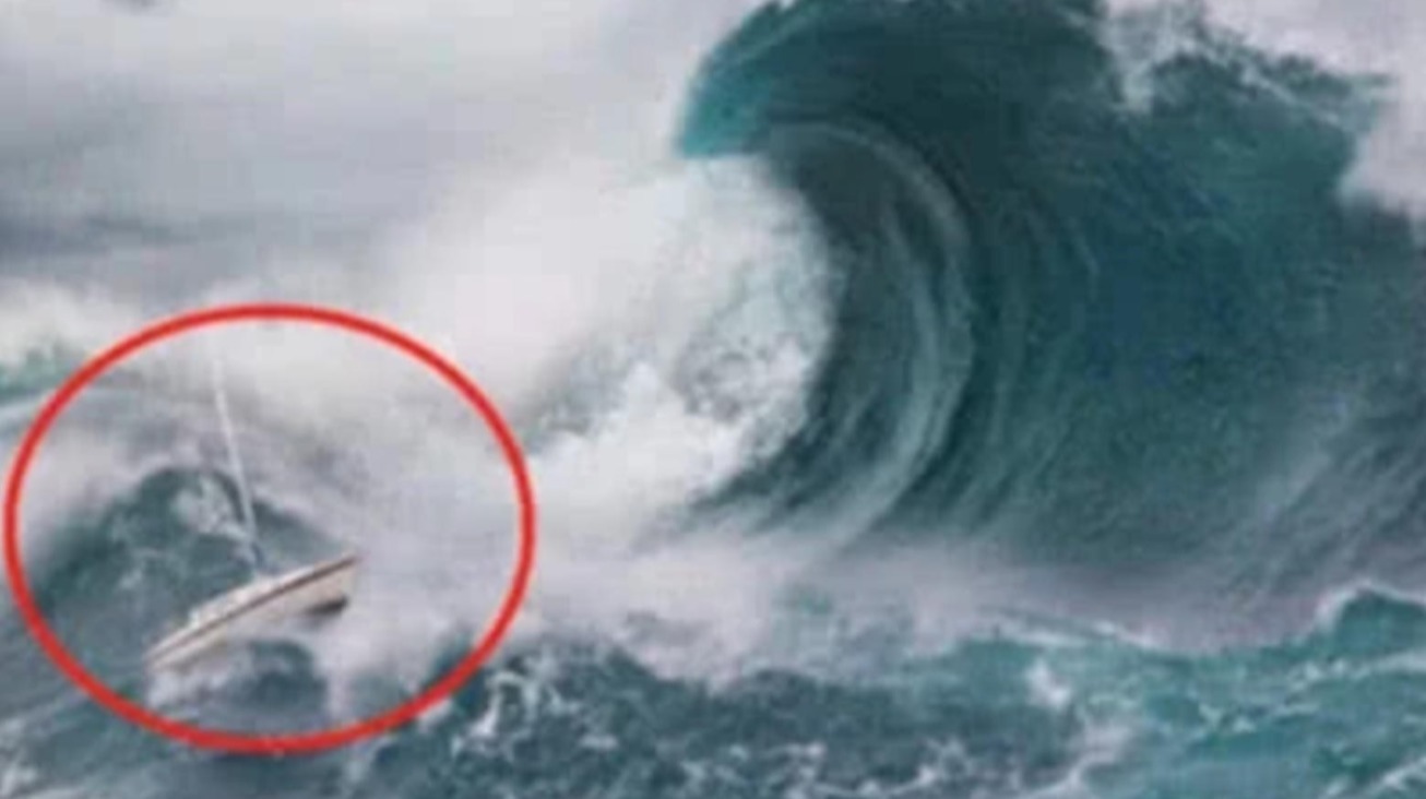 船只遇见海啸的时候,就会拼命冲向海啸,这到底是为什么?