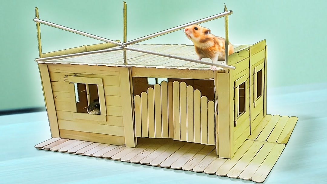仓鼠宝宝:用冰棒棍搭建仓鼠的新房子,仓鼠高兴的窜来窜去!
