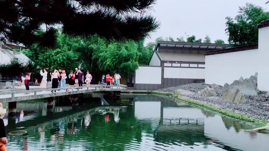 #苏州博物馆 #中式风格景观设计 #一瞬倾心