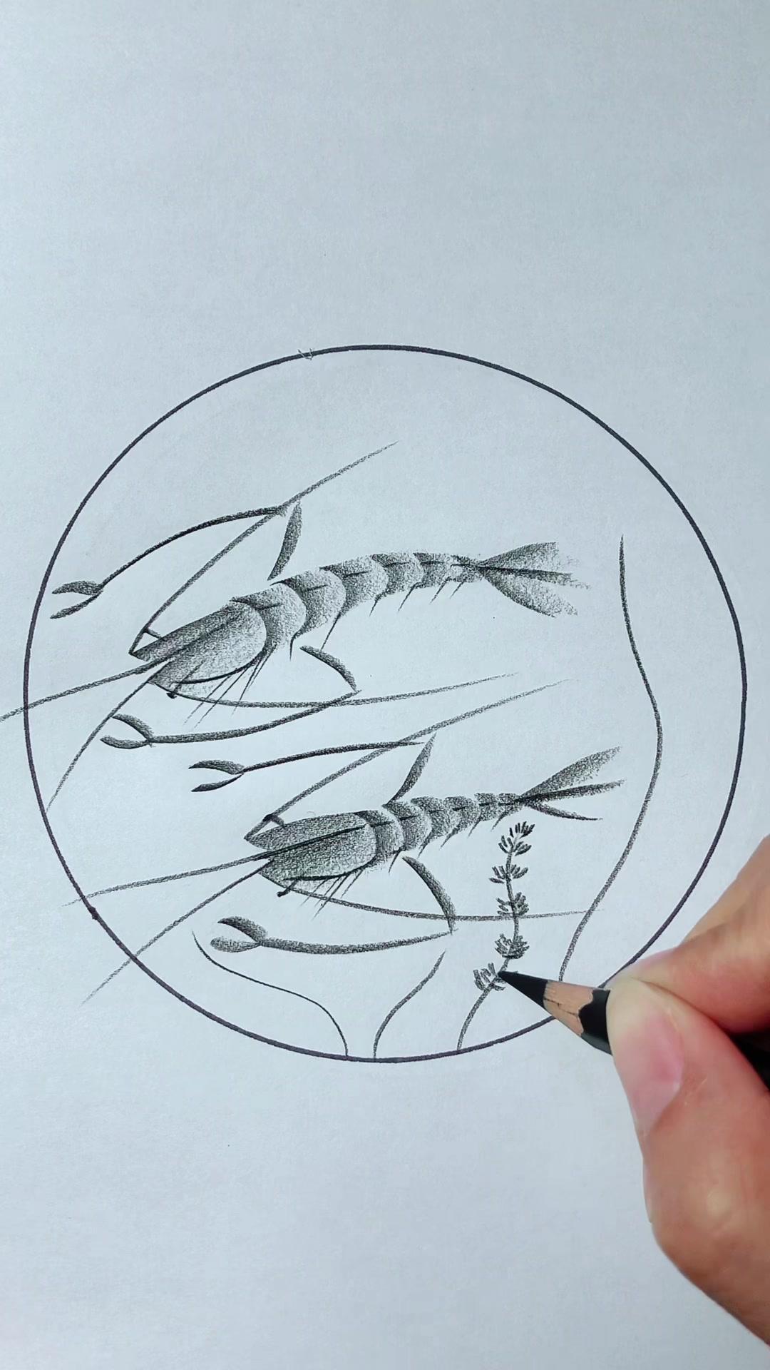 虾这样画,简单又好看