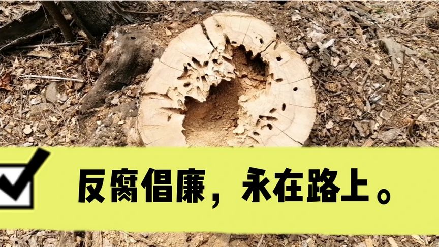 反腐倡廉,永在路上