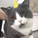 Raymond锦鸿 