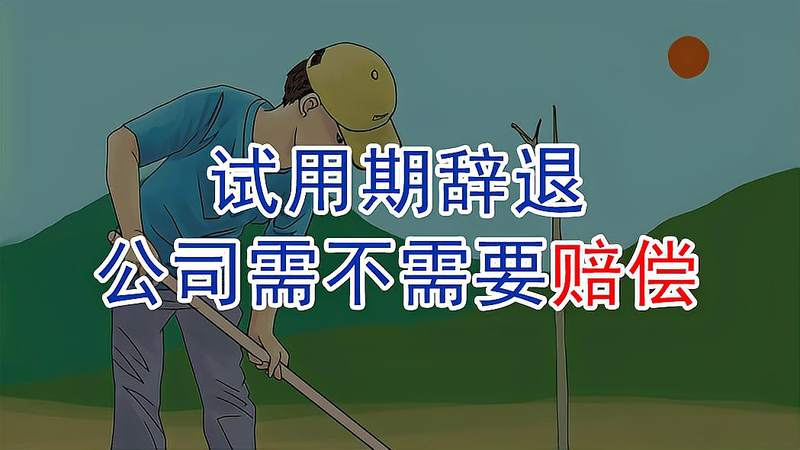 试用期辞退公司需不需要赔偿?