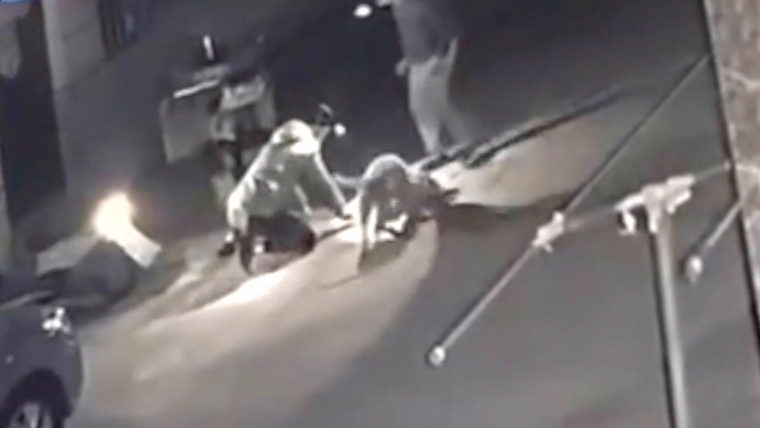 气愤!浙江两男子按住猫头故意让狗撕咬 现场视频曝光