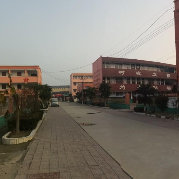 停课不停学快乐在家学小石头课堂 