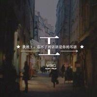 小煤窑王总 