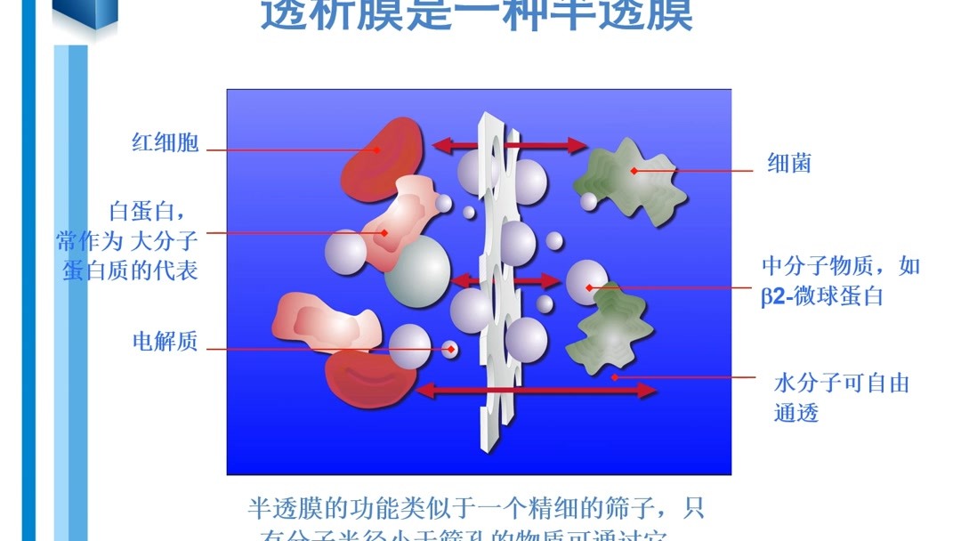 血液透析的相关知识及原理PPT