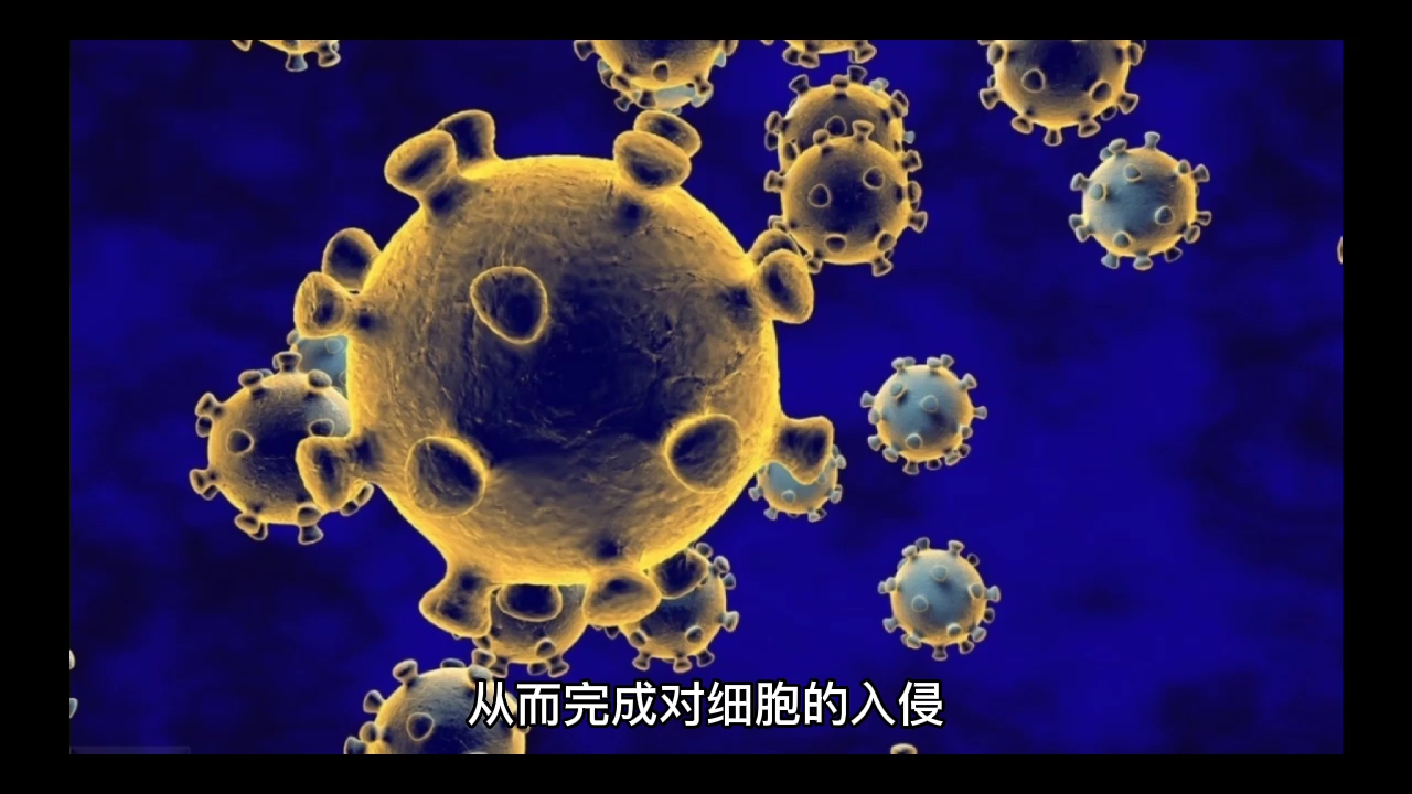 我们是怎么发现新冠病毒在进化的009-8-5-4