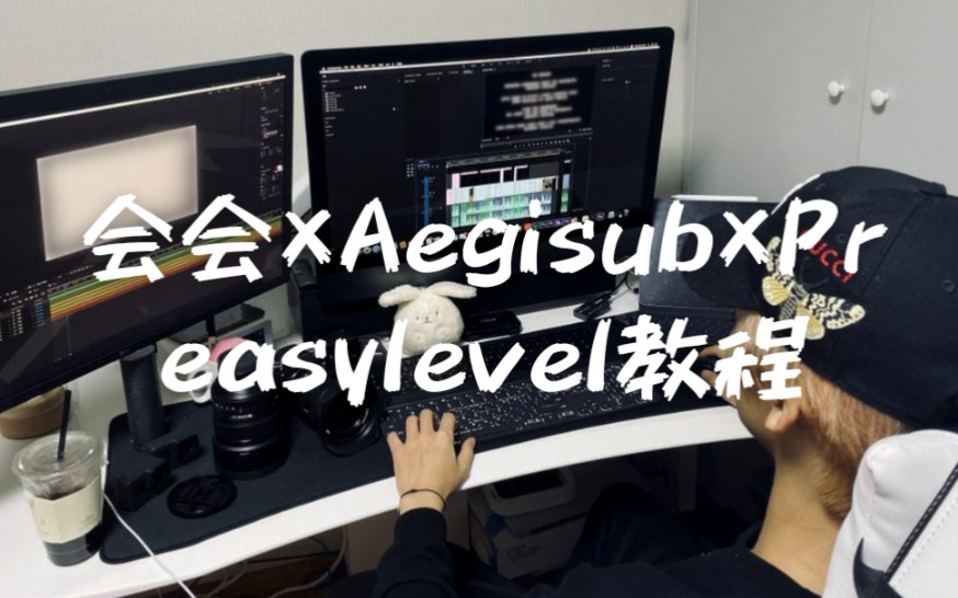 会会×Aegisub×PR 基本操作入门级教程