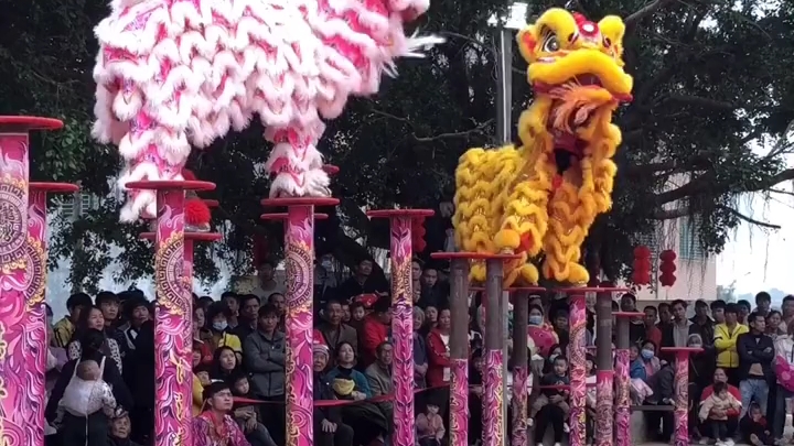 %醒狮传承 %醒狮文化 %舞狮表演